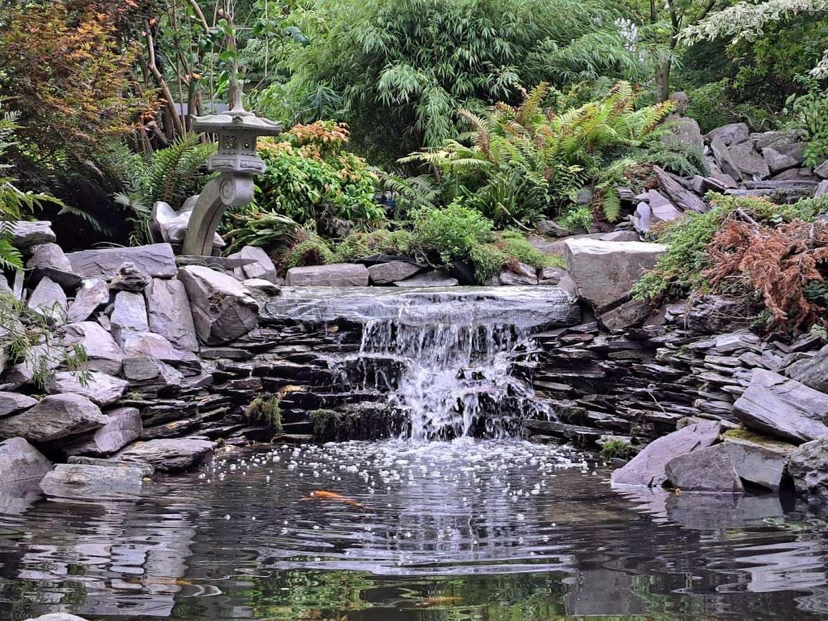 Pond Waterfalls | Essex Aquatics