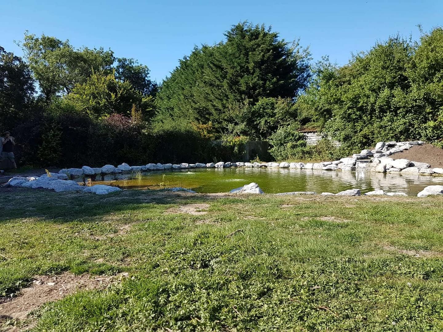 Natural Pond Builders in Essex | Natural Ponds | Essex Aquatics