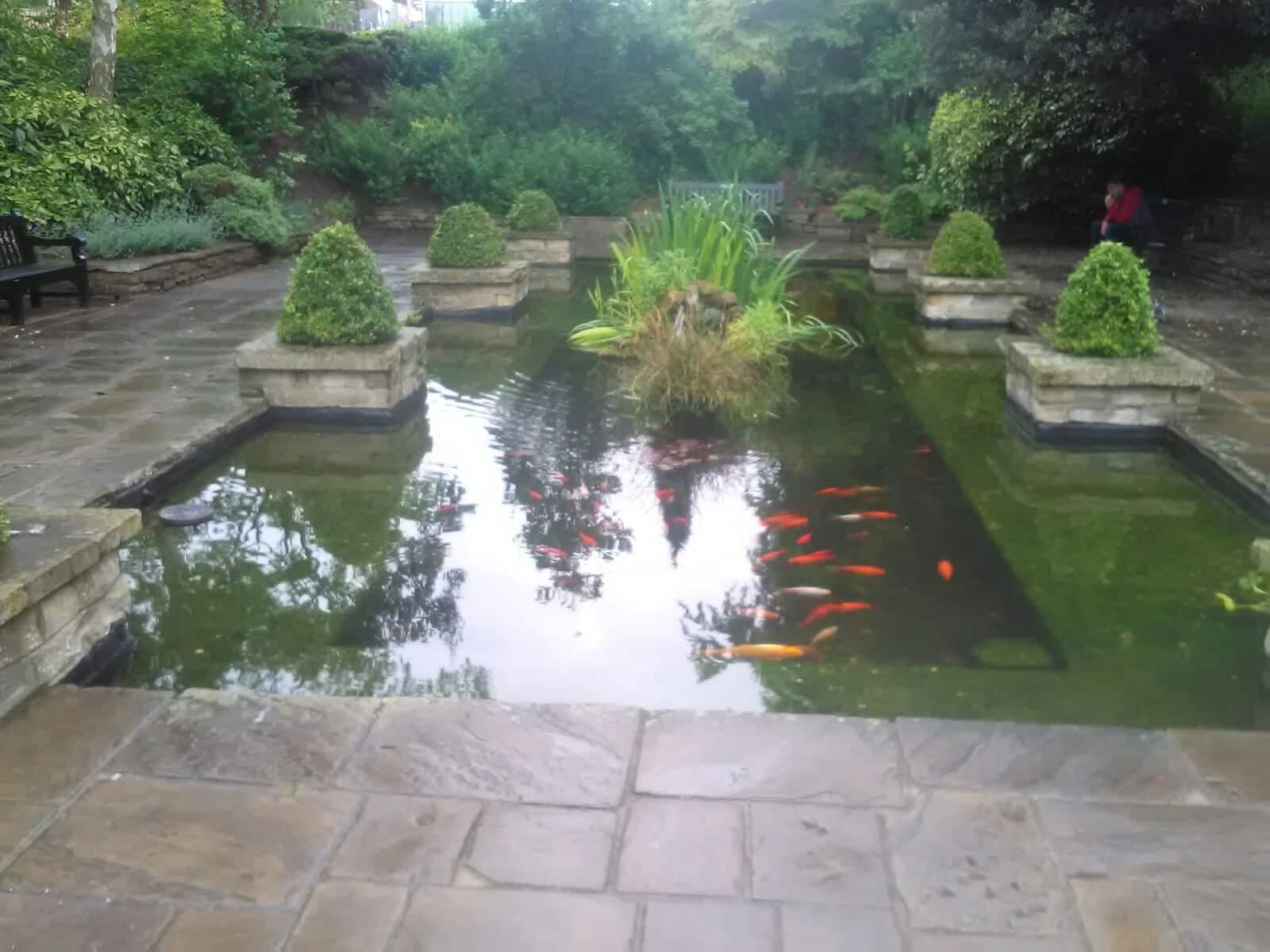 Colchester Castle Park | Essex Aquatics